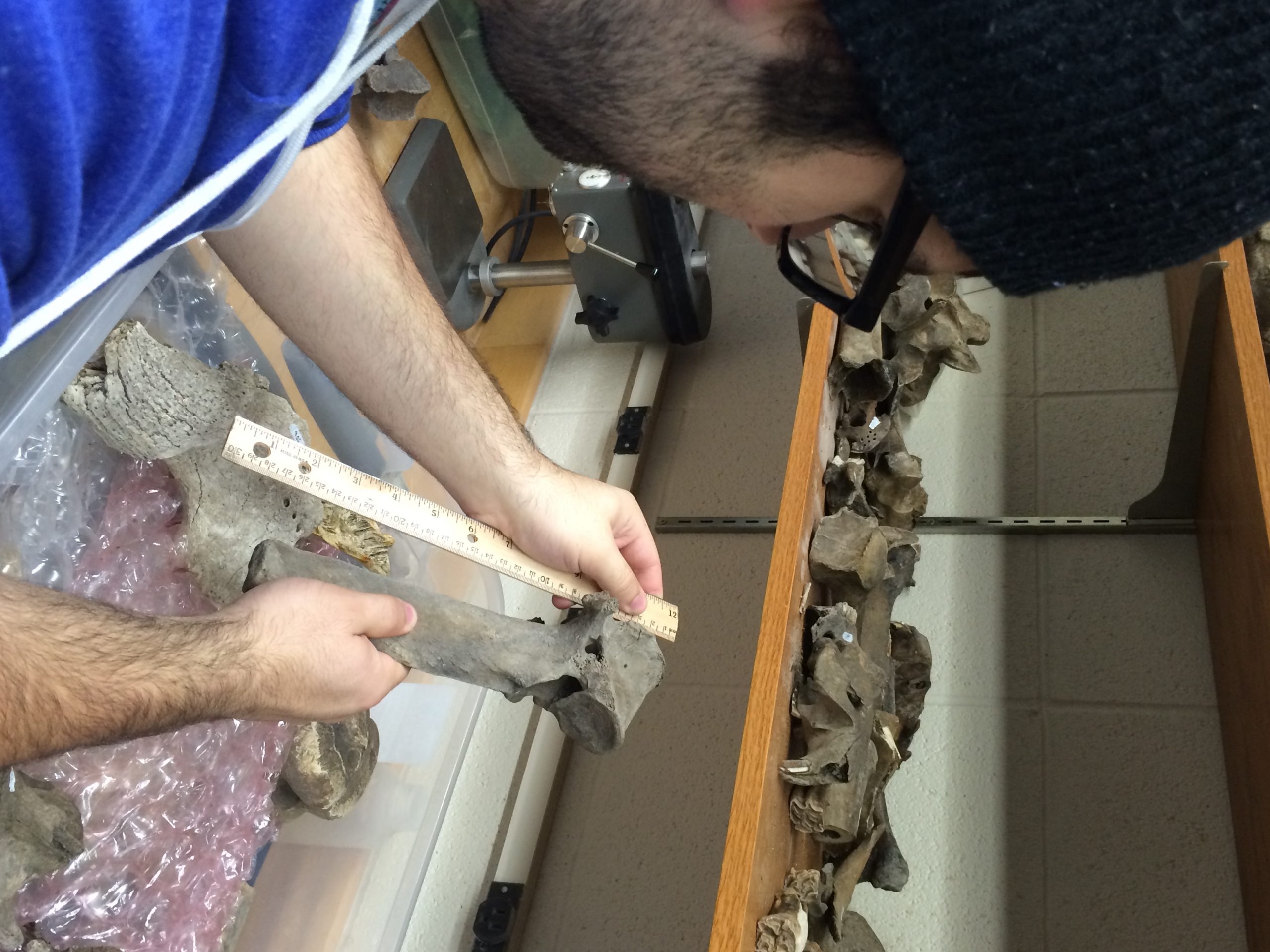 Bison Bone Hunters - Geology